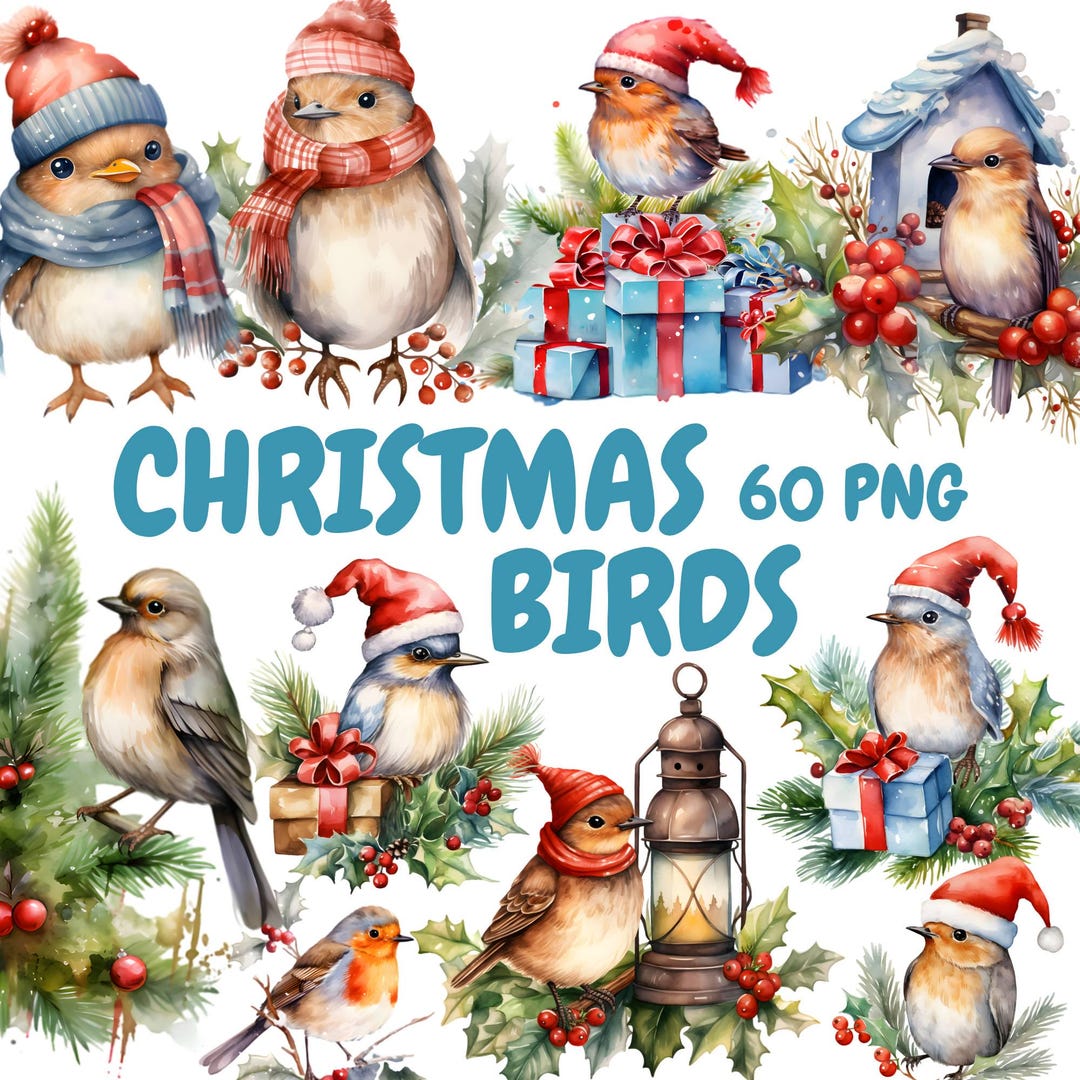 Watercolor Christmas Birds Clipart Bundle, Winter Bird Clipart, Robin ...
