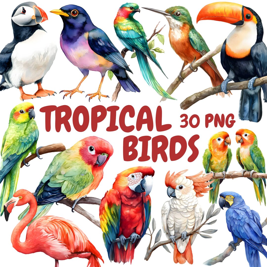 Watercolor Tropical Birds Clipart Bundle, Exotic Birds Clipart, Parrot ...