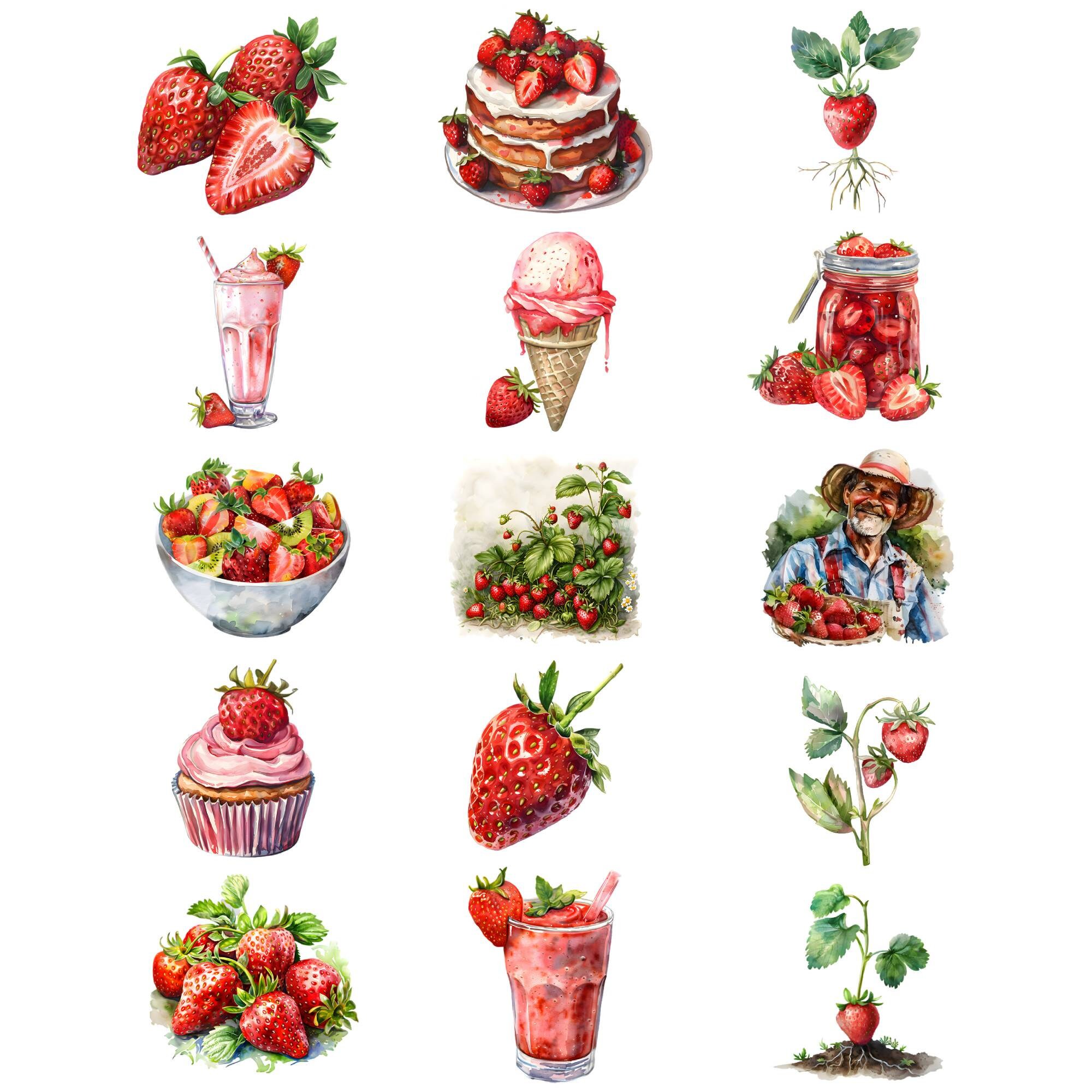 Watercolor Strawberry Clipart Bundle, Strawberry Farm Clipart ...