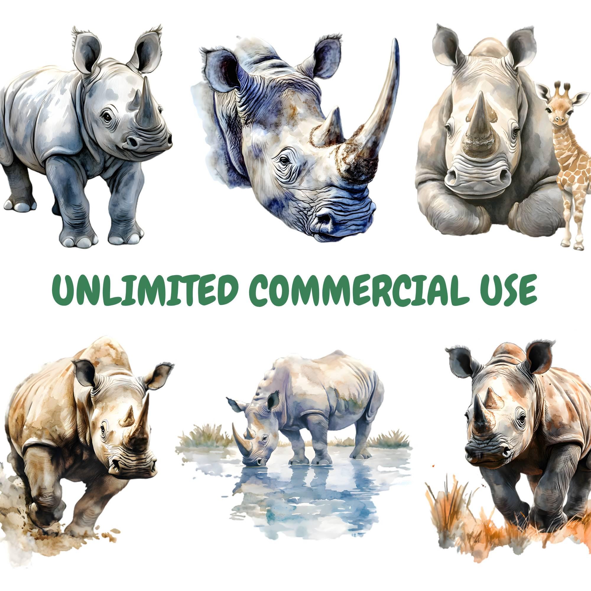Watercolor Rhino Clipart Bundle, Safari Animal Clipart, Rhinoceros ...