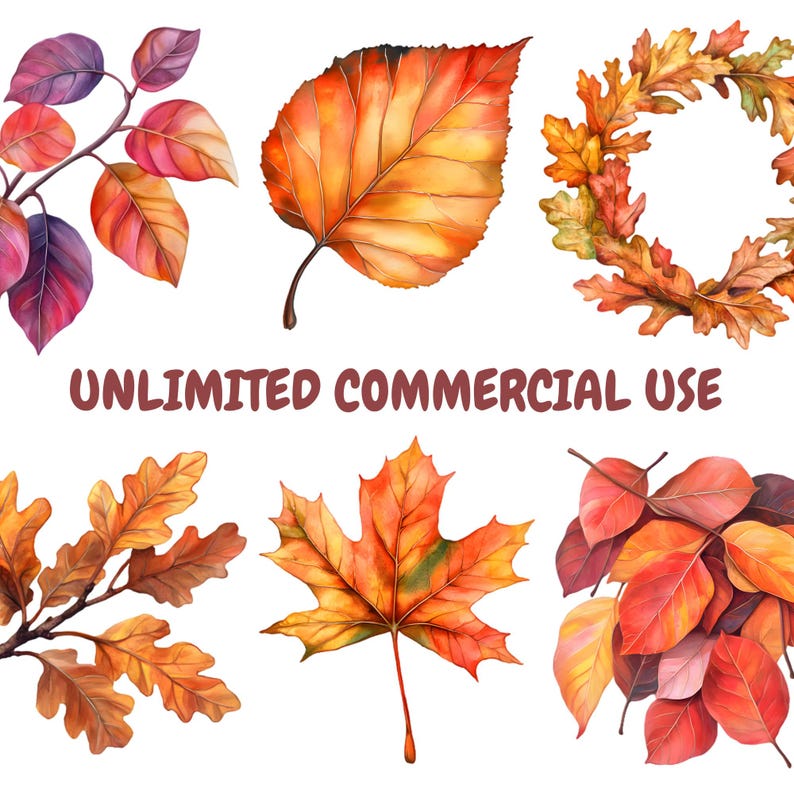 Watercolor Autumn Leaves Clipart Bundle, Fall Leaves Clipart, Leaf ...