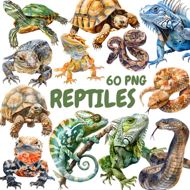 Are Snakes Exotic Animals - Etsy