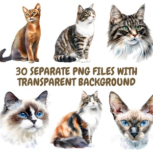 Watercolor Cats Clipart Bundle, Cute Kitten Clipart, Cat Illustrations ...