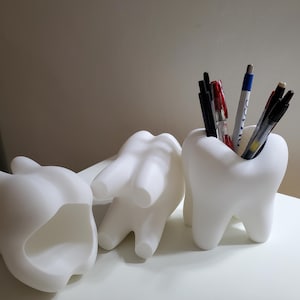 Tooth Shaped Pen Holder and Organizer - Fun Dental Decor for Office ...