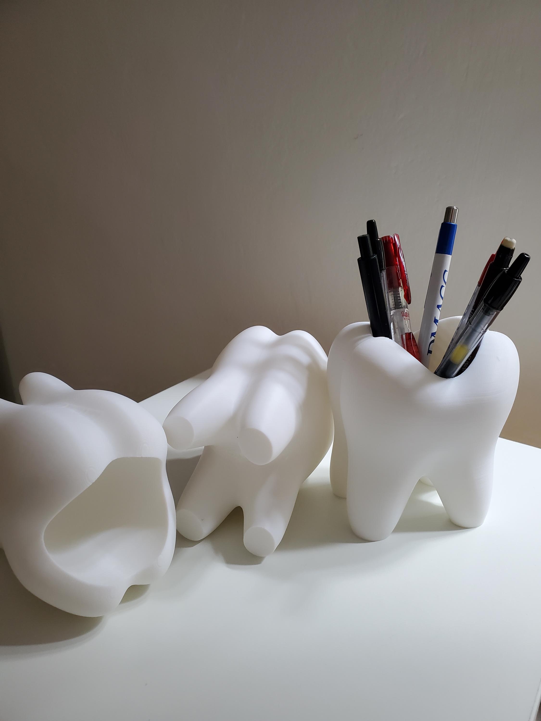 Tooth Shaped Pen Holder and Organizer - Fun Dental Decor for Office ...