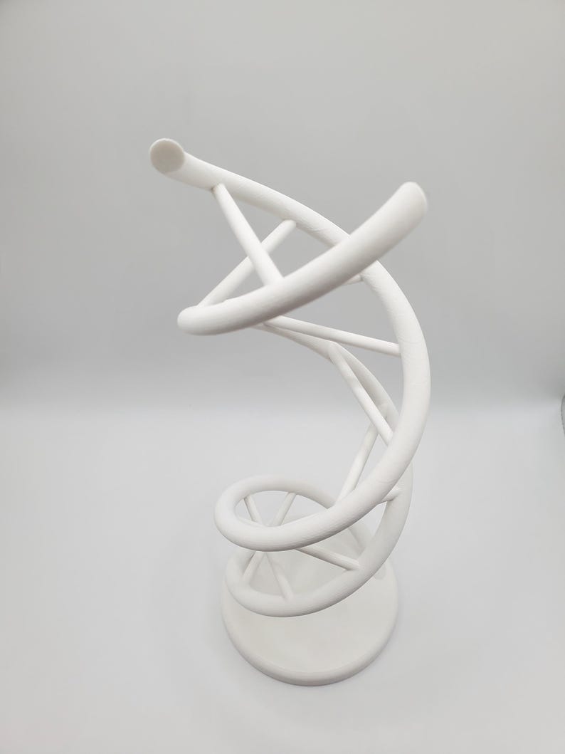 DNA Double Helix Model – Scientific Decor, Molecular Biology Gift ...