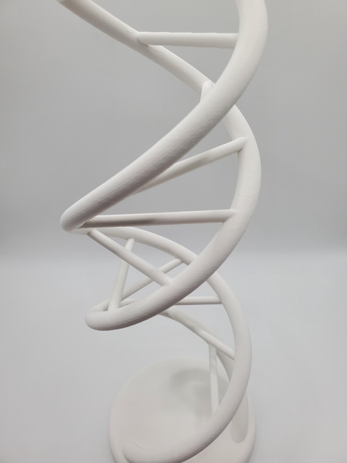 DNA Double Helix Model – Scientific Decor, Molecular Biology Gift ...