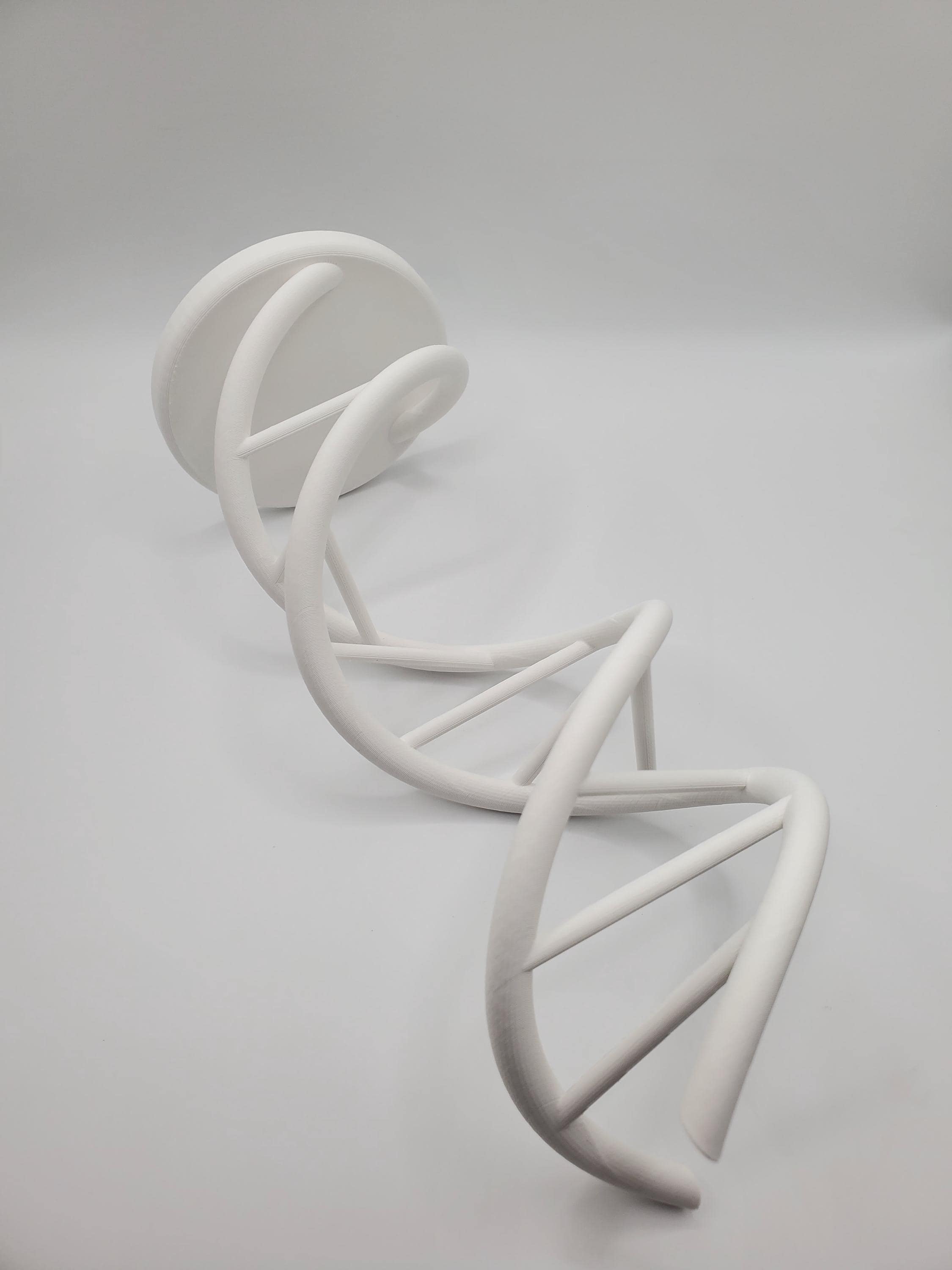 DNA Double Helix Model – Scientific Decor, Molecular Biology Gift ...