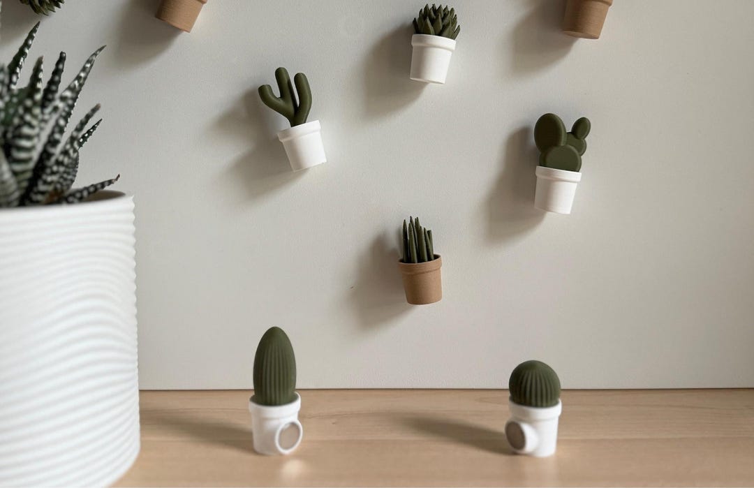 Set of 6 Cactus Magnets | Unique and Adorable Plant Magnets | Cute ...