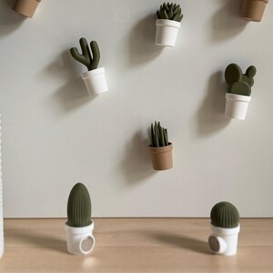 Set of 6 Cactus Magnets | Unique and Adorable Plant Magnets | Cute ...