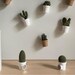 Set of 6 Cactus Magnets | Unique and Adorable Plant Magnets | Cute ...