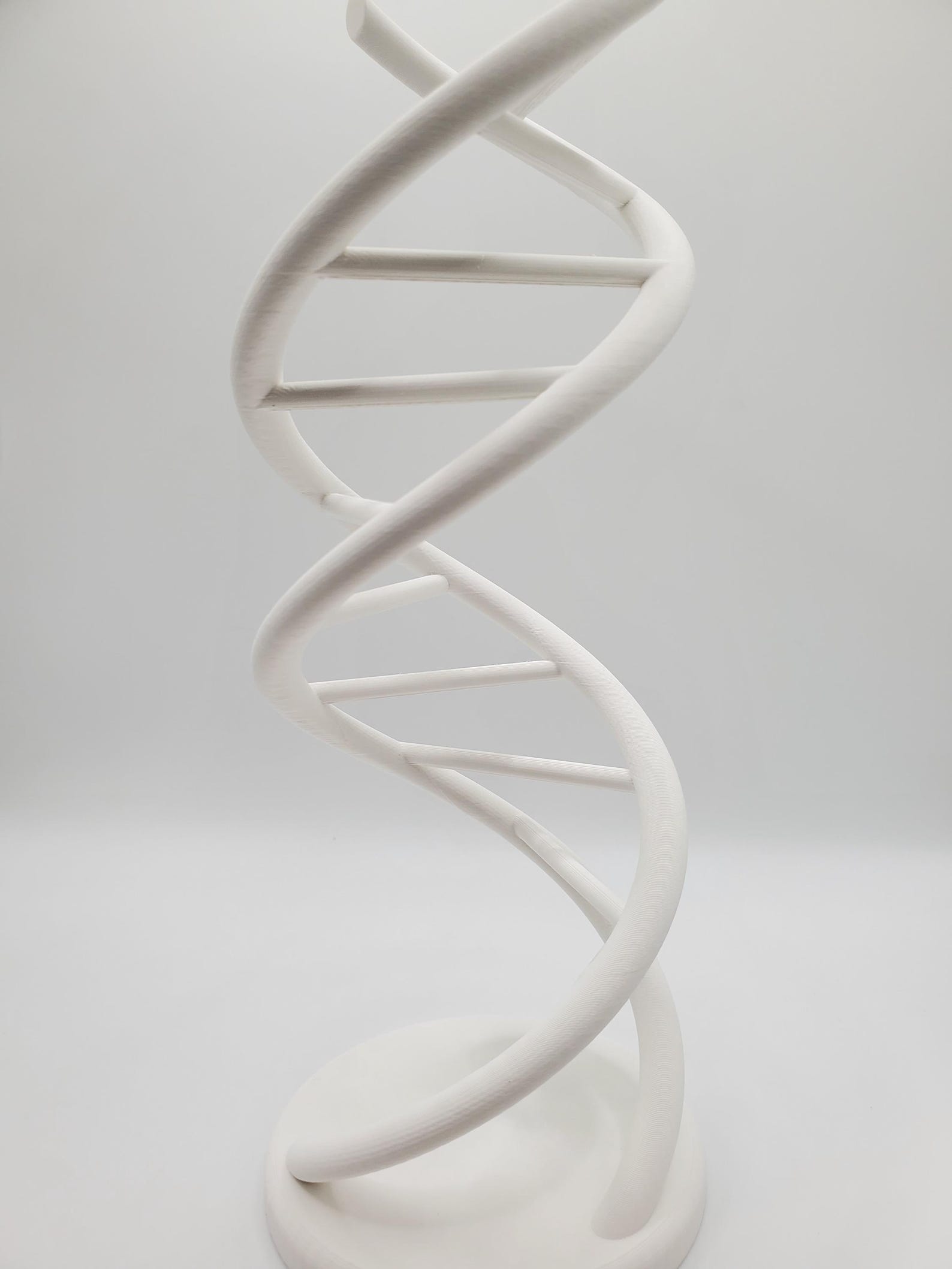 DNA Double Helix Model – Scientific Decor, Molecular Biology Gift ...