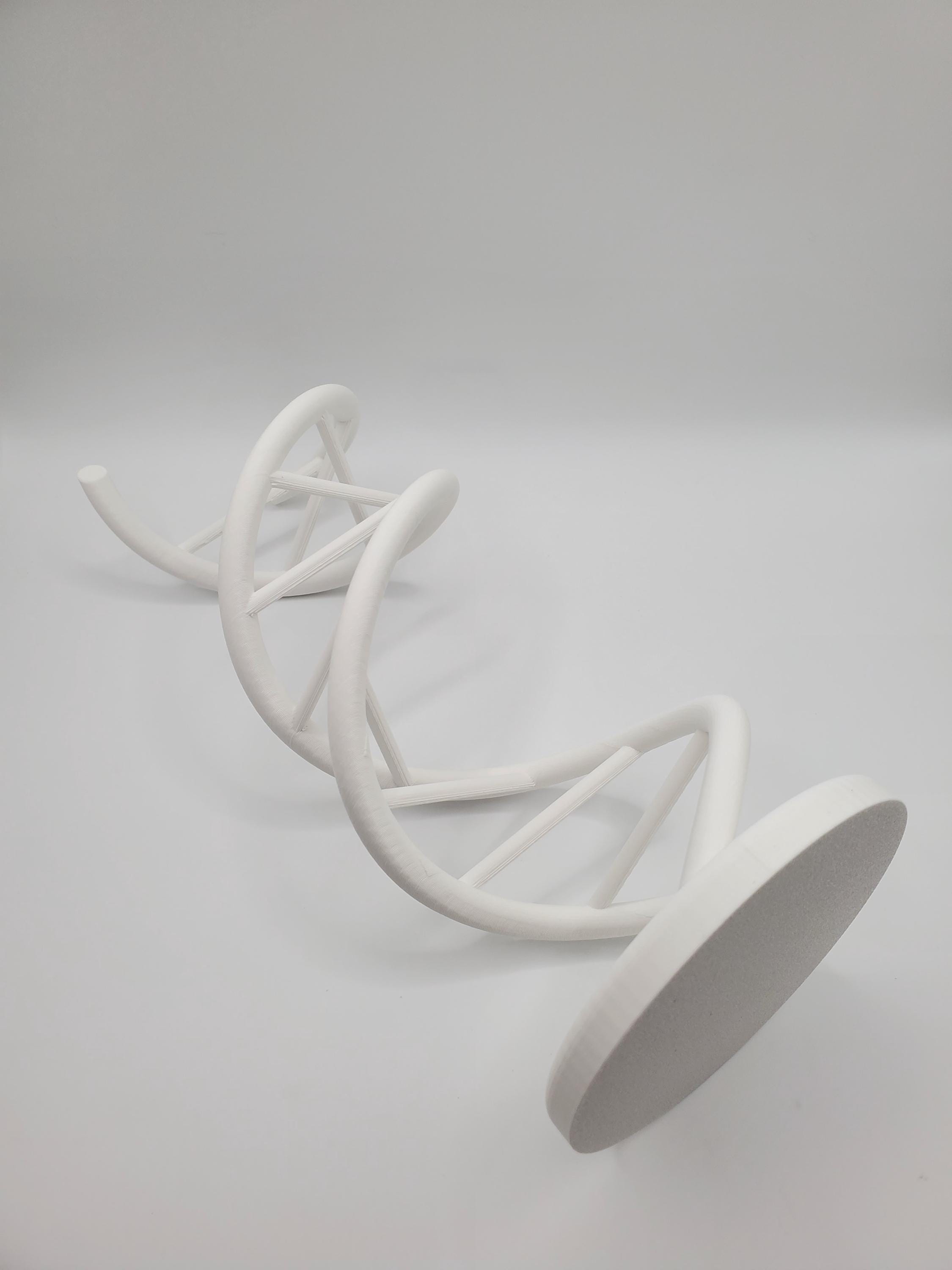DNA Double Helix Model – Scientific Decor, Molecular Biology Gift ...