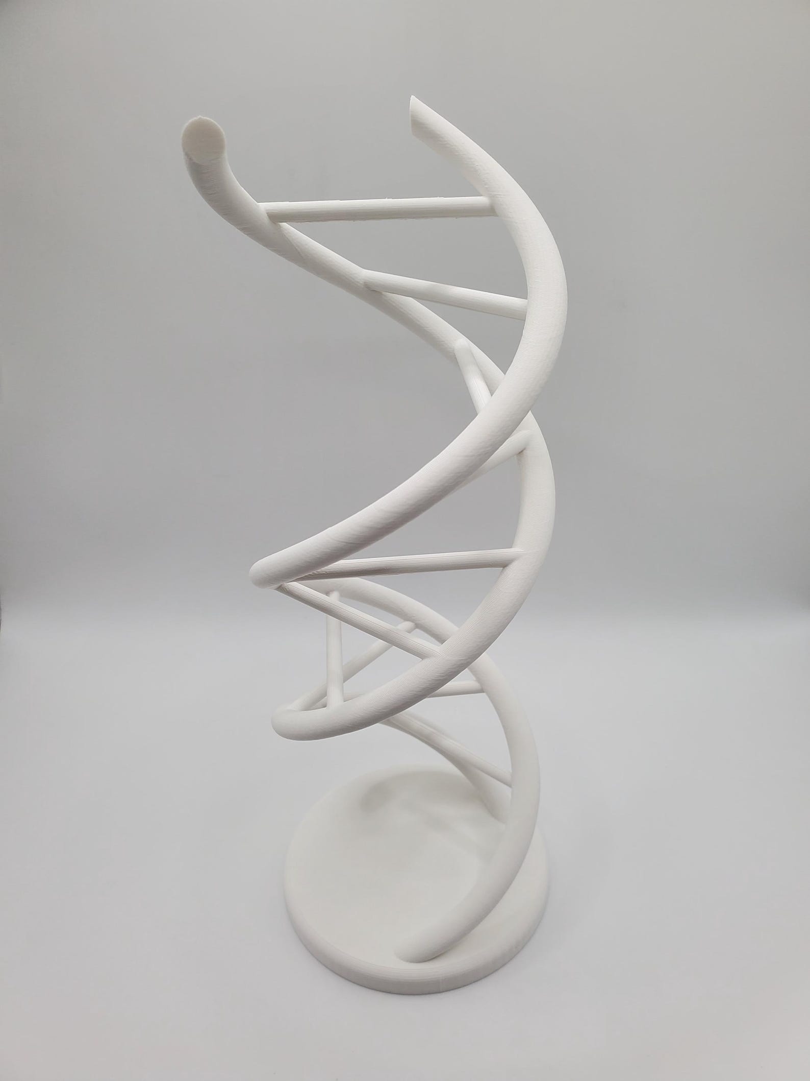 DNA Double Helix Model – Scientific Decor, Molecular Biology Gift ...