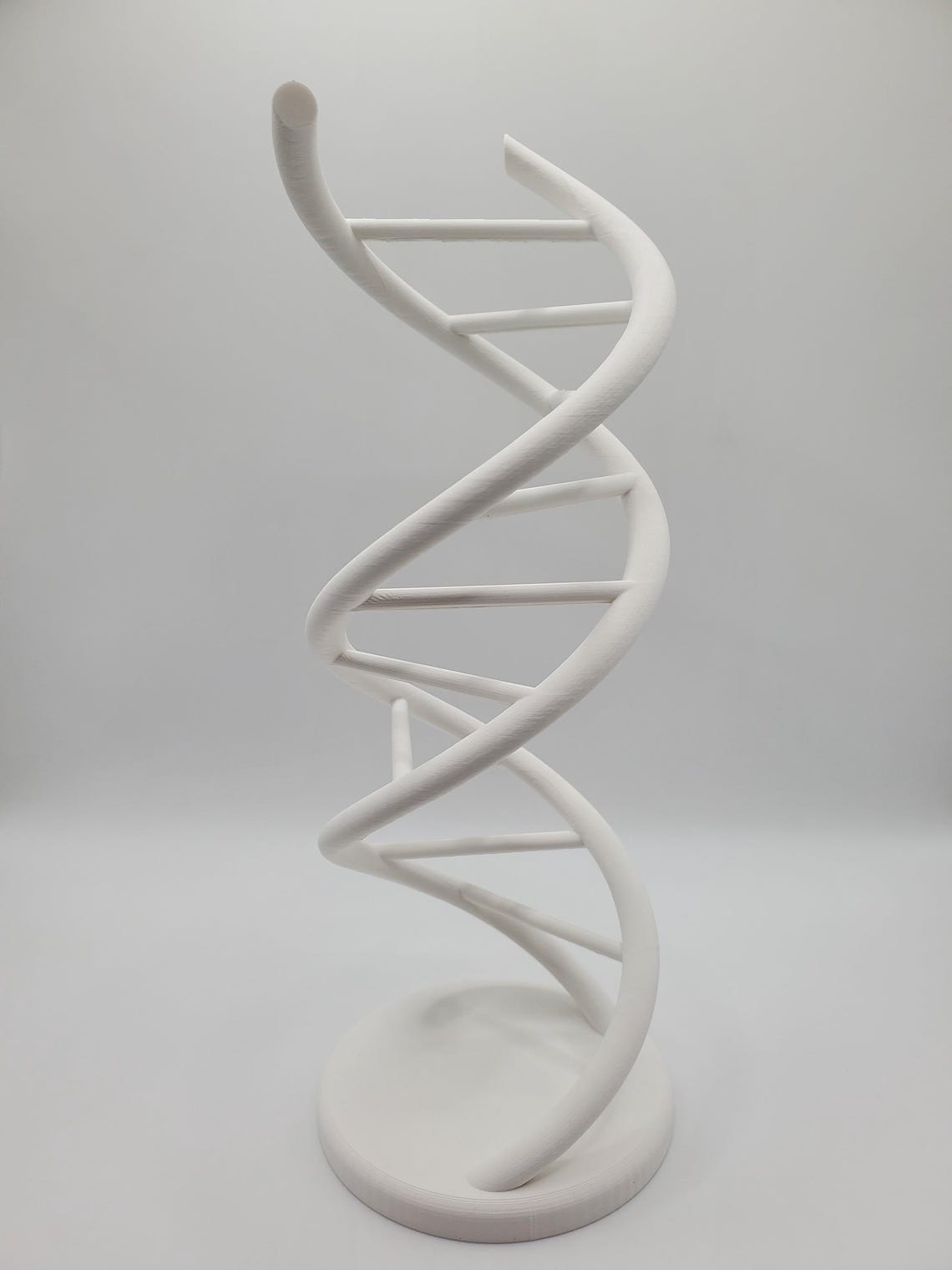 DNA Double Helix Model – Scientific Decor, Molecular Biology Gift ...