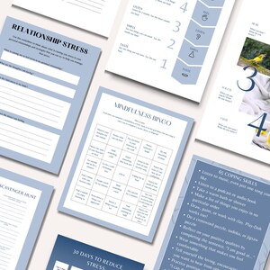 Self Care Plan and Stress Relief Coping Skills Daily Planner Journal ...