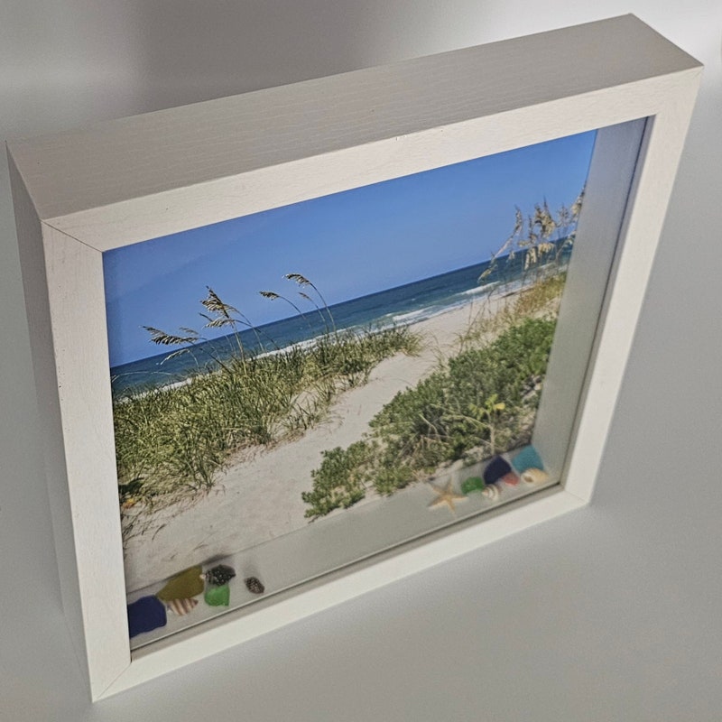 Seashell Shadow Box - Etsy