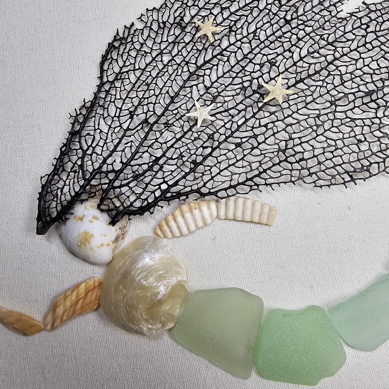 11x14 Genuine Sea Glass and Sea Fan Mermaid | Lime Cream Green ...