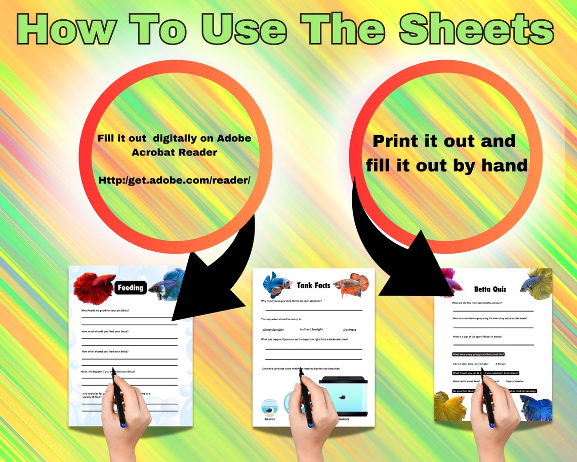 Betta Fish Unit Study: Pet Care Worksheets, Grades 1-8 (printable ...
