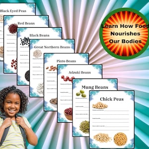 Legumes, Nuts and Seeds Unit Study for Kids. Printable Research ...