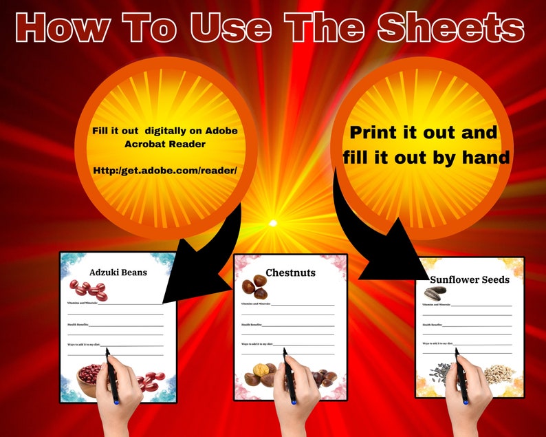 Legumes, Nuts and Seeds Unit Study for Kids. Printable Research ...