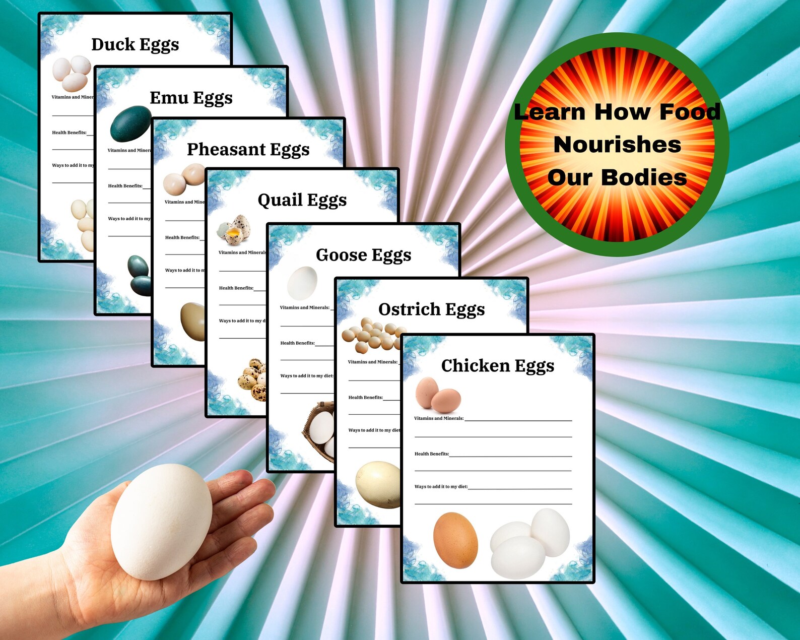 Eggs and Dairy Unit Study. 42 Different Worksheets. Grades 1-8 and ...