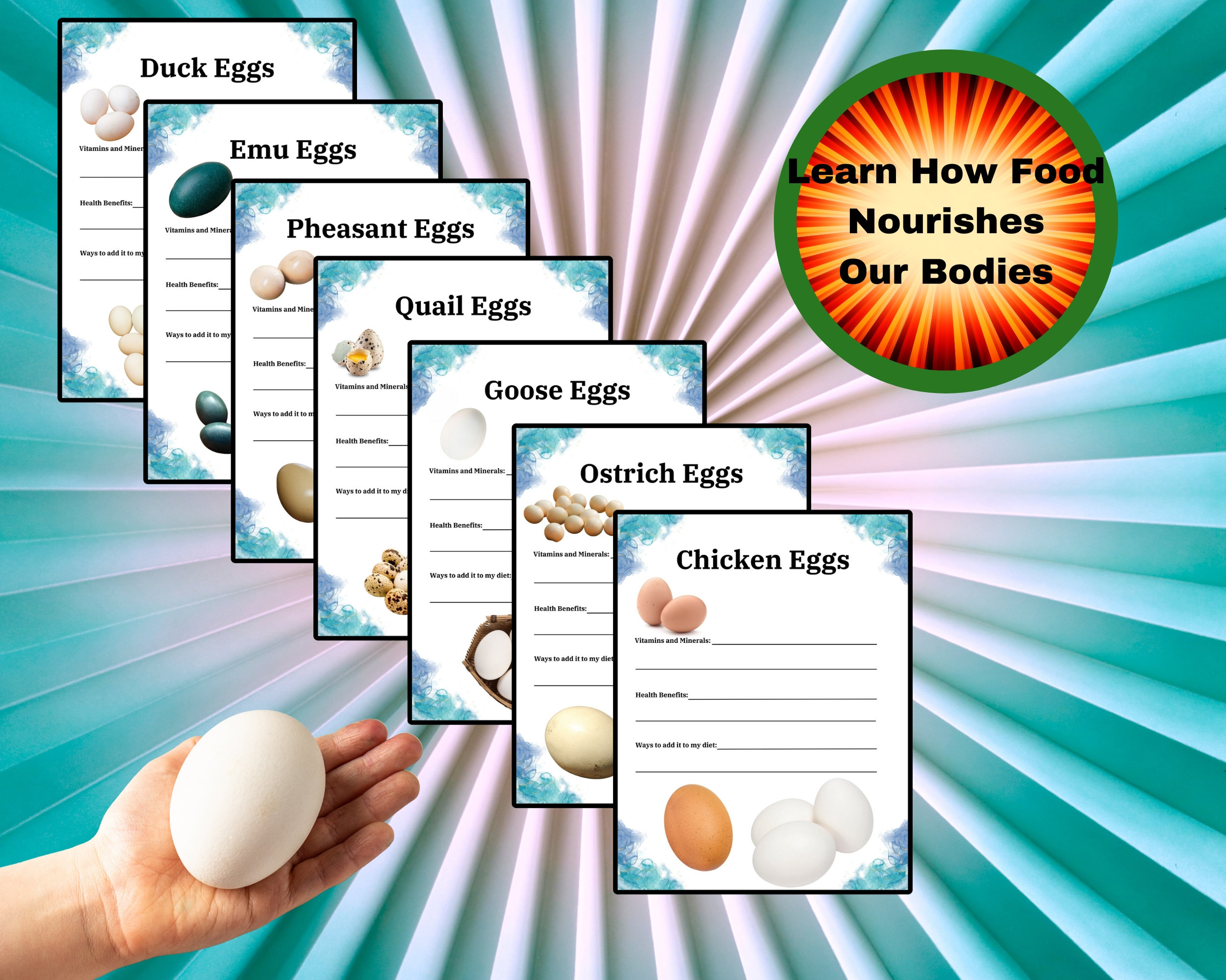 Eggs and Dairy Unit Study. 42 Different Worksheets. Grades 1-8 and ...