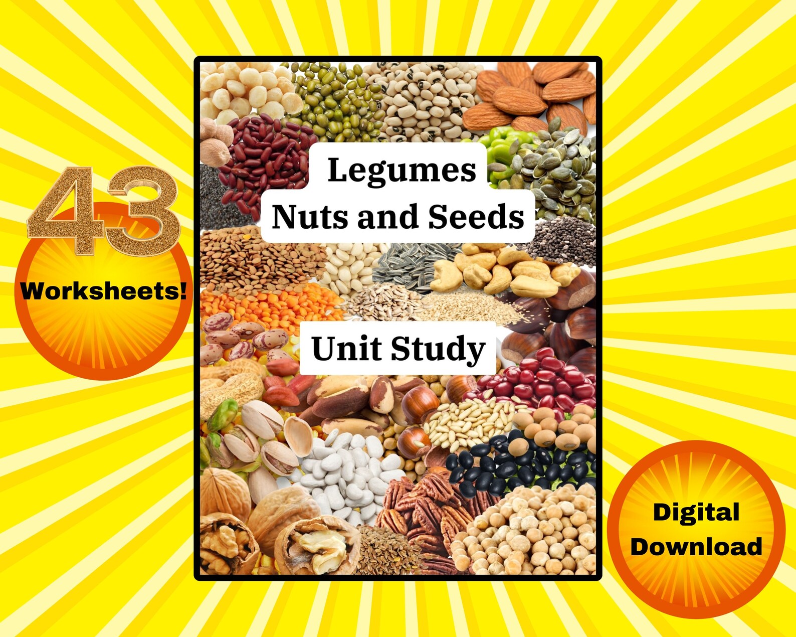 Legumes, Nuts and Seeds Unit Study for Kids. Printable Research ...