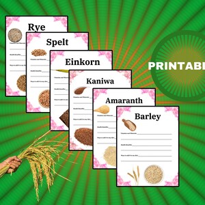 Whole Grain Unit Study, Healthy Food Worksheets Grade 1-8, Healthy Kids ...
