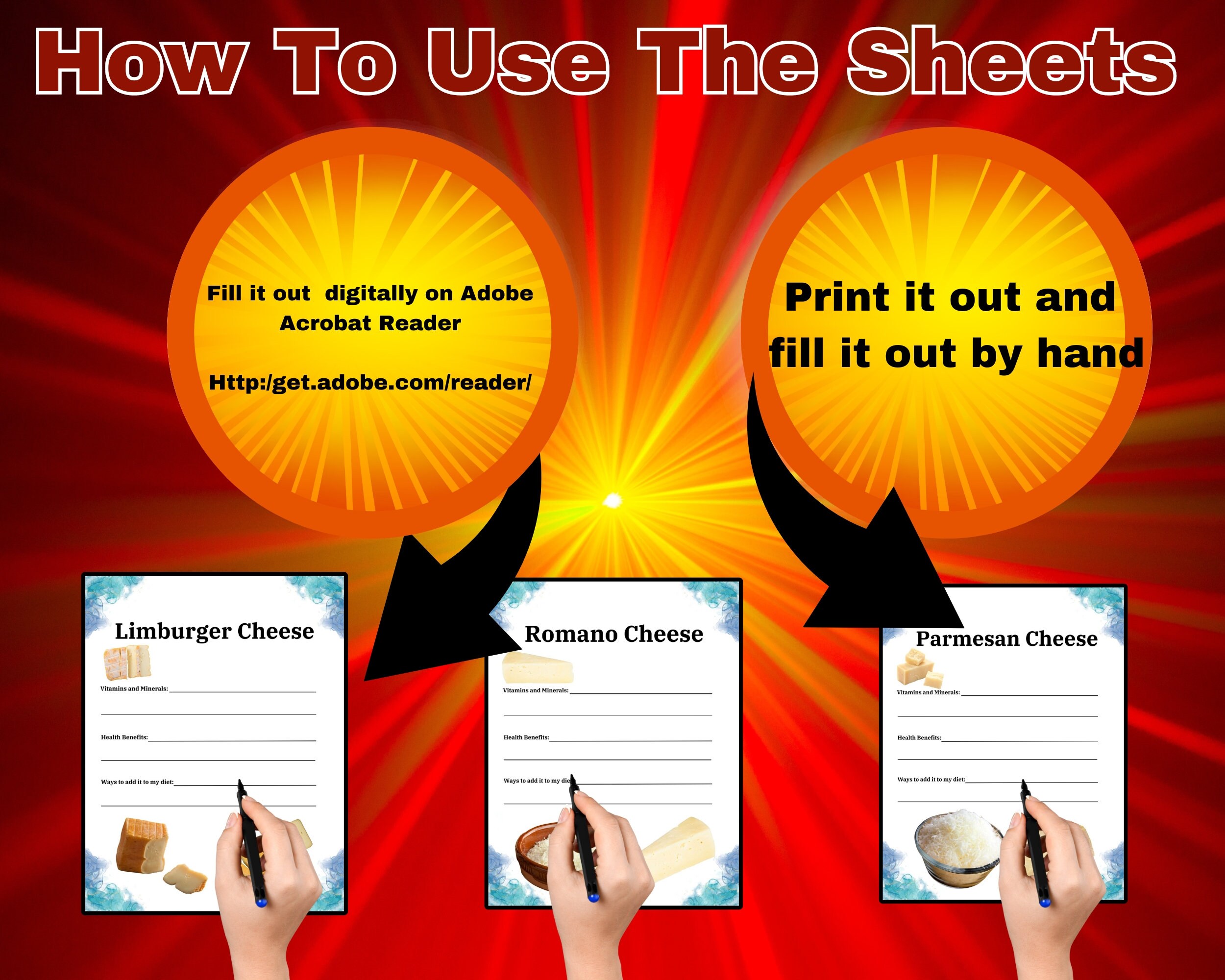 Eggs and Dairy Unit Study. 42 Different Worksheets. Grades 1-8 and ...