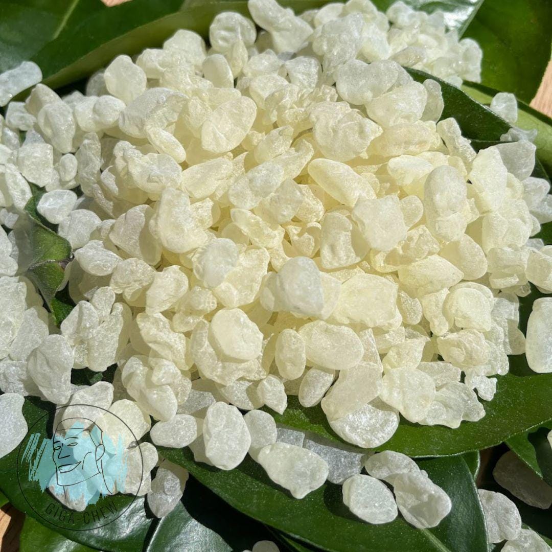 Giga Chew Natural Mastic Gum: Jawline Toning, Fresh Breath (30g) - Etsy