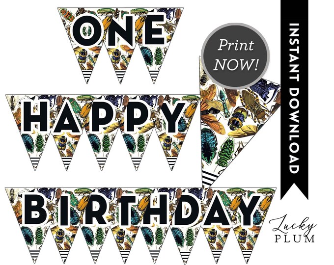 Insect Happy Birthday Banner / Bug Banner / Bee Ant Beetle Wasp ...