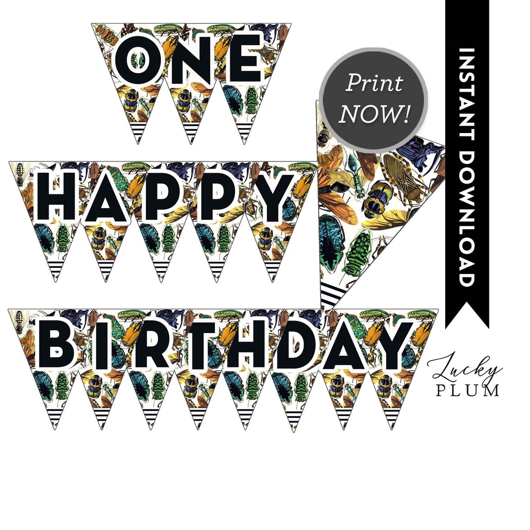 Insect Happy Birthday Banner / Bug Banner / Bee Ant Beetle Wasp ...