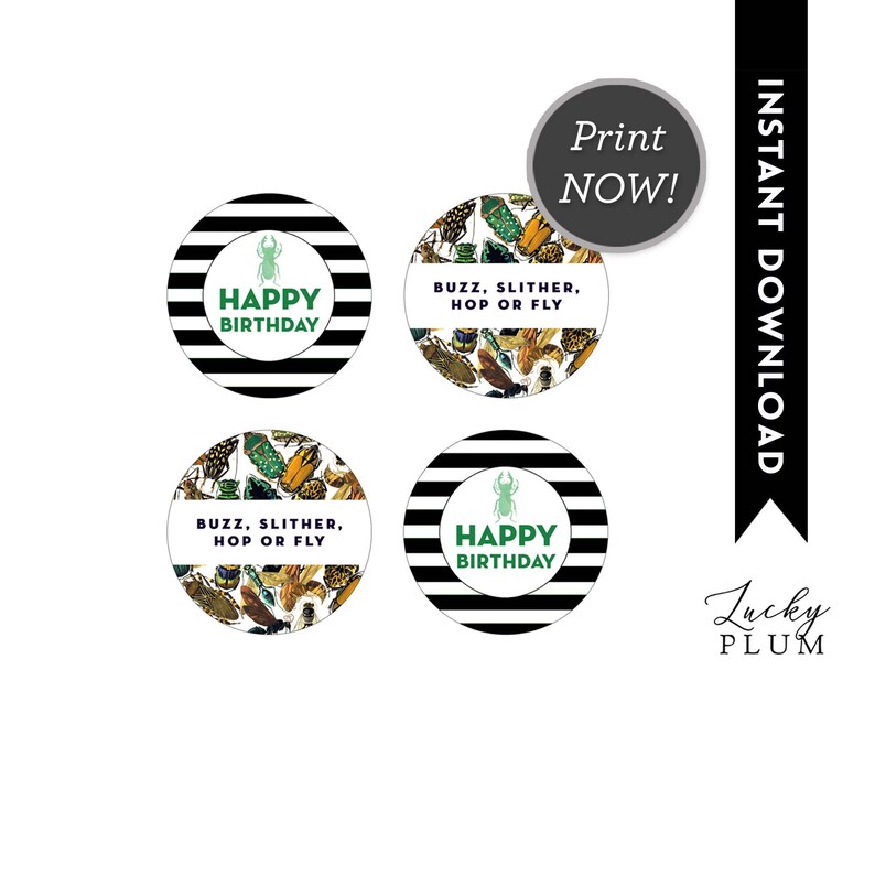 Insect Happy Birthday Banner / Bug Banner / Bee Ant Beetle | Etsy