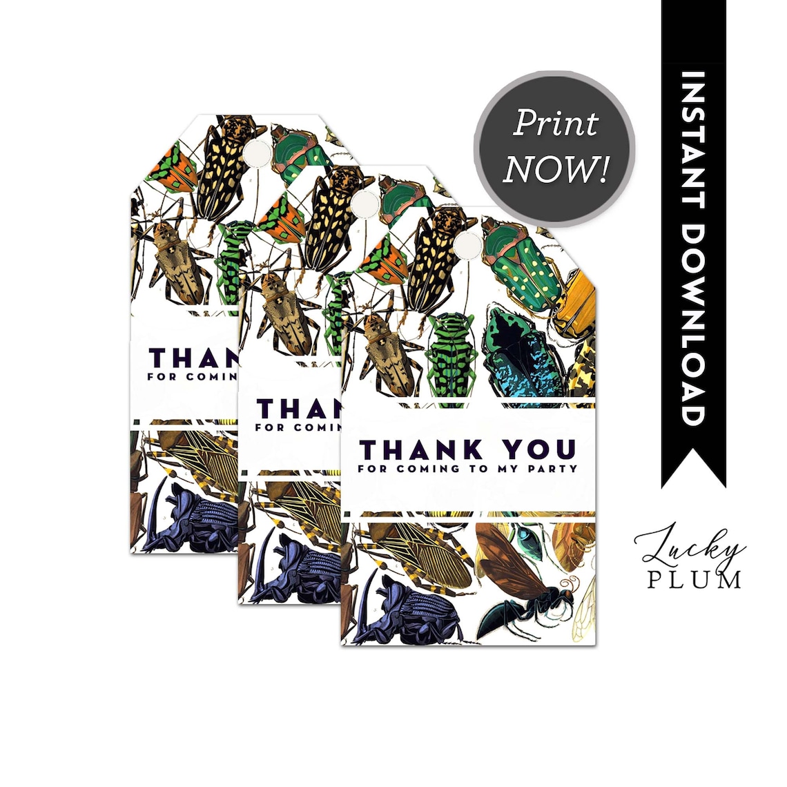 Insect Thank You Card / Bug Thank You Card / Printable / DIY / | Etsy