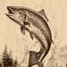 Laser Burn PNG | Fish | Fishing | Trout | Engrave | Laser Ready ...