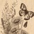 Laser Burn PNG Sunflower Flowers Garden Engrave Laser Ready Digital ...