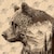 Laser Burn PNG | Fish | Fishing | Trout | Engrave | Laser Ready ...