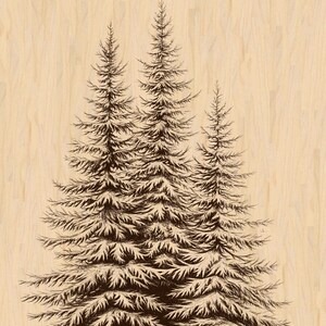 Pine Tree Laser Engraving File, Ready to Engrave PNG & JPEG, Woodland ...