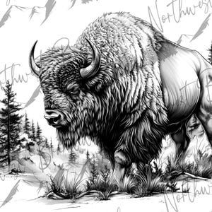Bison Laser Engraving File: Rustic Wildlife Art (digital Download) - Etsy