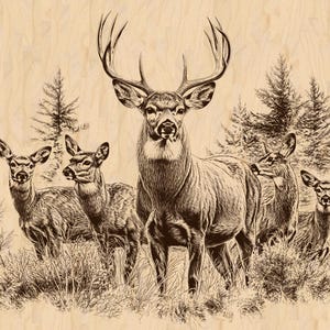 Whitetail Buck and Does Laser Engrave File, Wildlife Deer Scene PNG ...