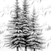 Pine Tree Laser Engraving File: Woodland Rustic Art (digital Download ...