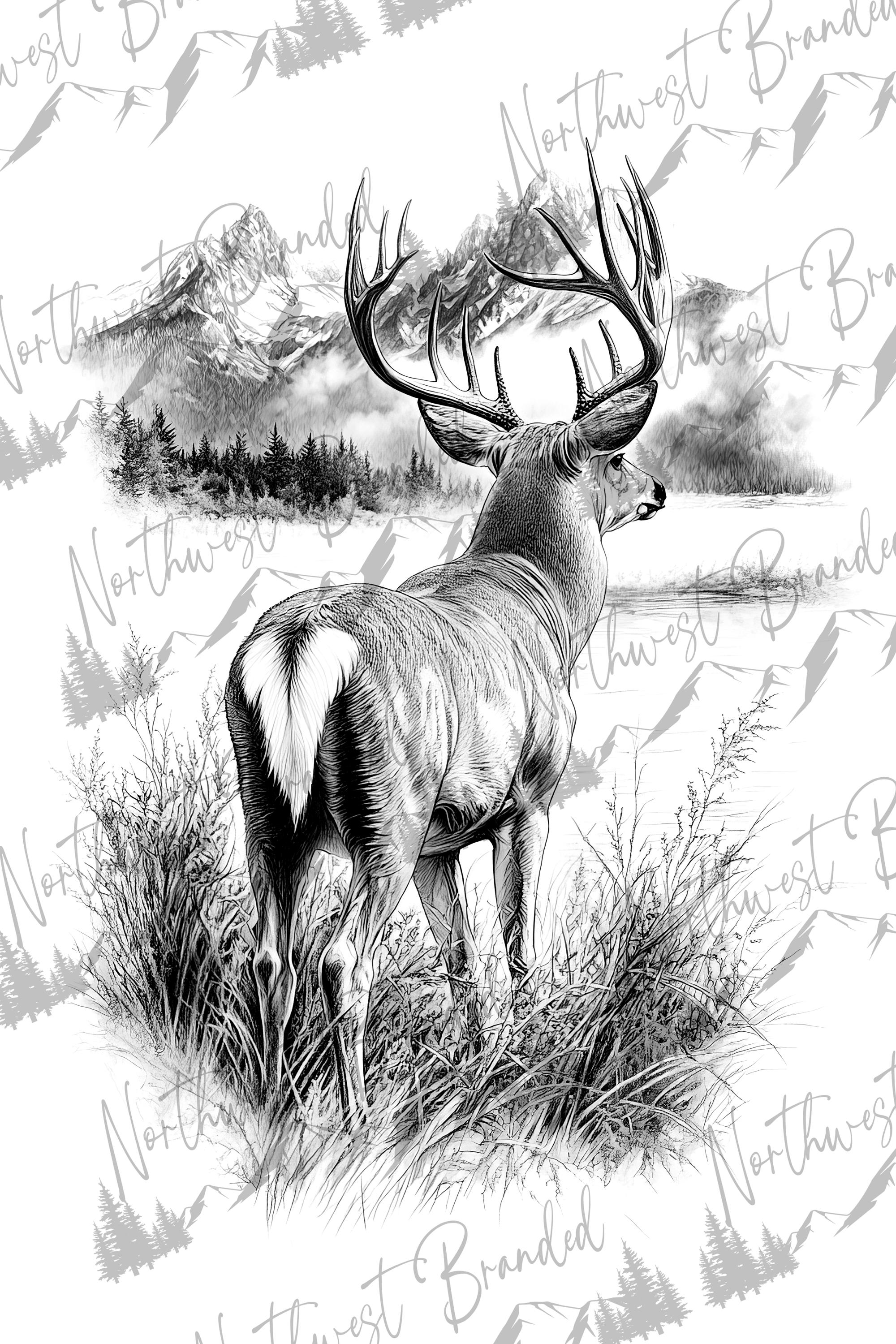 Laser Engraving Buck Design: Rustic Deer Scene (digital Download) - Etsy
