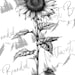 Laser Burn PNG | Sunflower | Flowers | Garden | Engrave | Laser Ready ...