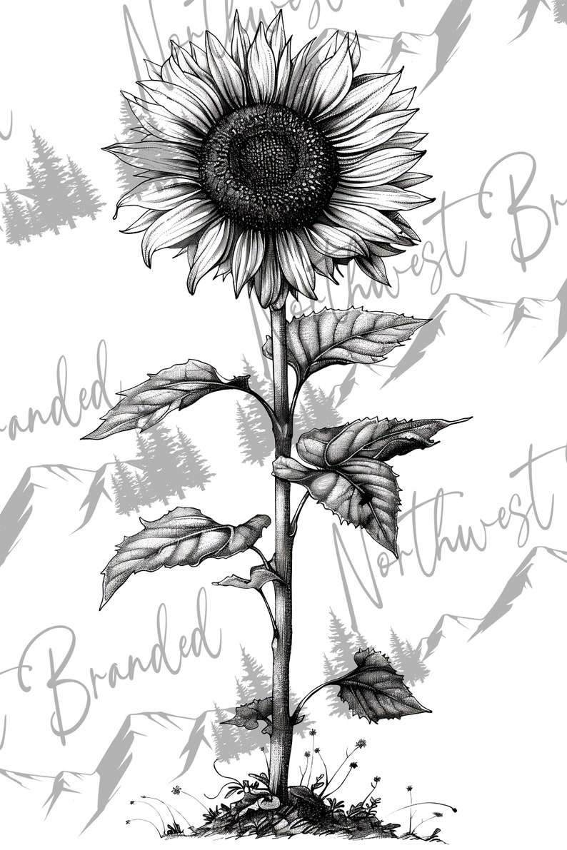 Laser Burn PNG | Sunflower | Flowers | Garden | Engrave | Laser Ready ...