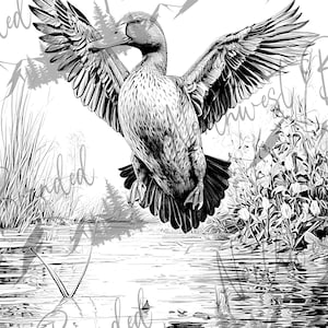 Laser Duck Engraving Design: Wildlife Art (PNG, JPEG) - Etsy