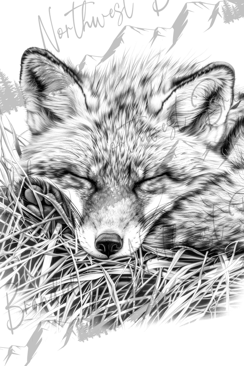 Sleeping Fox Laser Engraving File: Wildlife Nature Design (digital ...