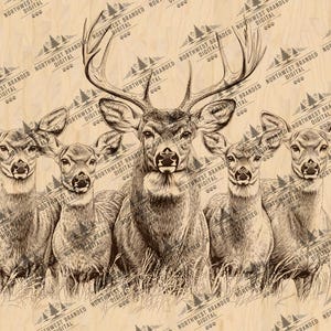 Deer Laser Engraving File: Woodland Wildlife Art (PNG & JPEG) - Etsy