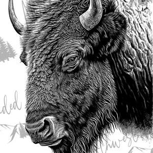 Bison Laser Engraving File – Buffalo Head Wildlife Art – Rustic Wood ...