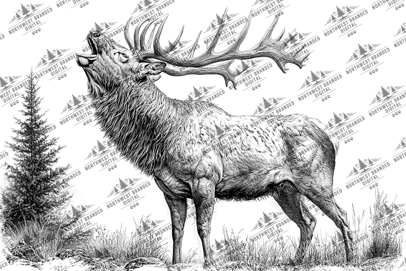 Bugling Elk Laser Engraving File: Wildlife Art PNG, JPEG (digital ...
